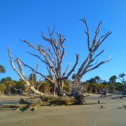 BOTANY BAY PLANTATION - 272 Photos & 64 Reviews - 7510 Botany Bay Rd ...