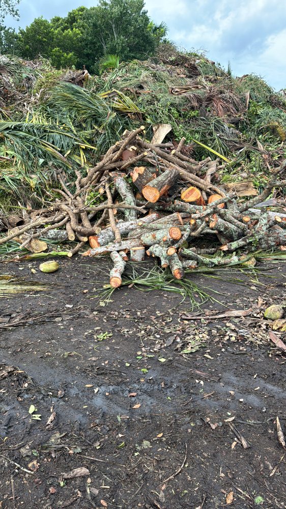 TKO TREE SERVICES - Updated December 2024 - Request a Quote - North ...