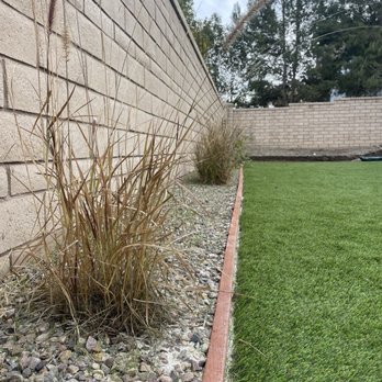 BIG BULLY TURF - Updated August 2025 - 503 Photos & 127 Reviews - 350 ...