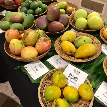 INTERNATIONAL MANGO FESTIVAL AT FAIRCHILD BOTANICAL GARDEN - Updated ...