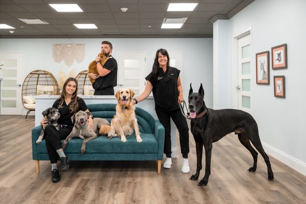 HANCOCK ANIMAL HOSPITAL - Updated May 2026 - 3405 Hancock Bridge Pkwy ...