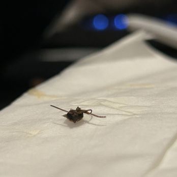 BOILING POINT - Updated November 2024 - 197 Photos & 94 Reviews - 315 S ...