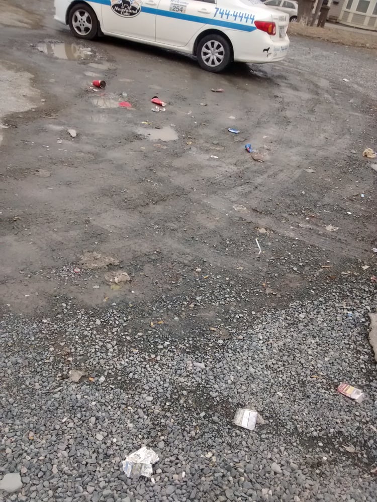 NEWFOUND CABS - Updated December 2025 - 21 Reviews - St John's ...