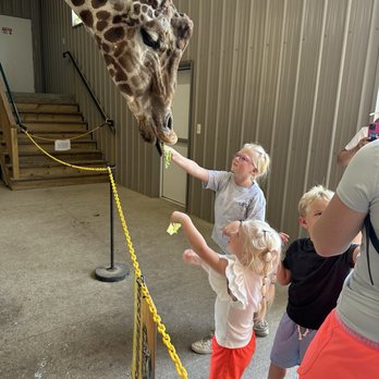 WILSTEM - Updated May 2025 - 332 Photos & 81 Reviews - 4229 W US-150 ...