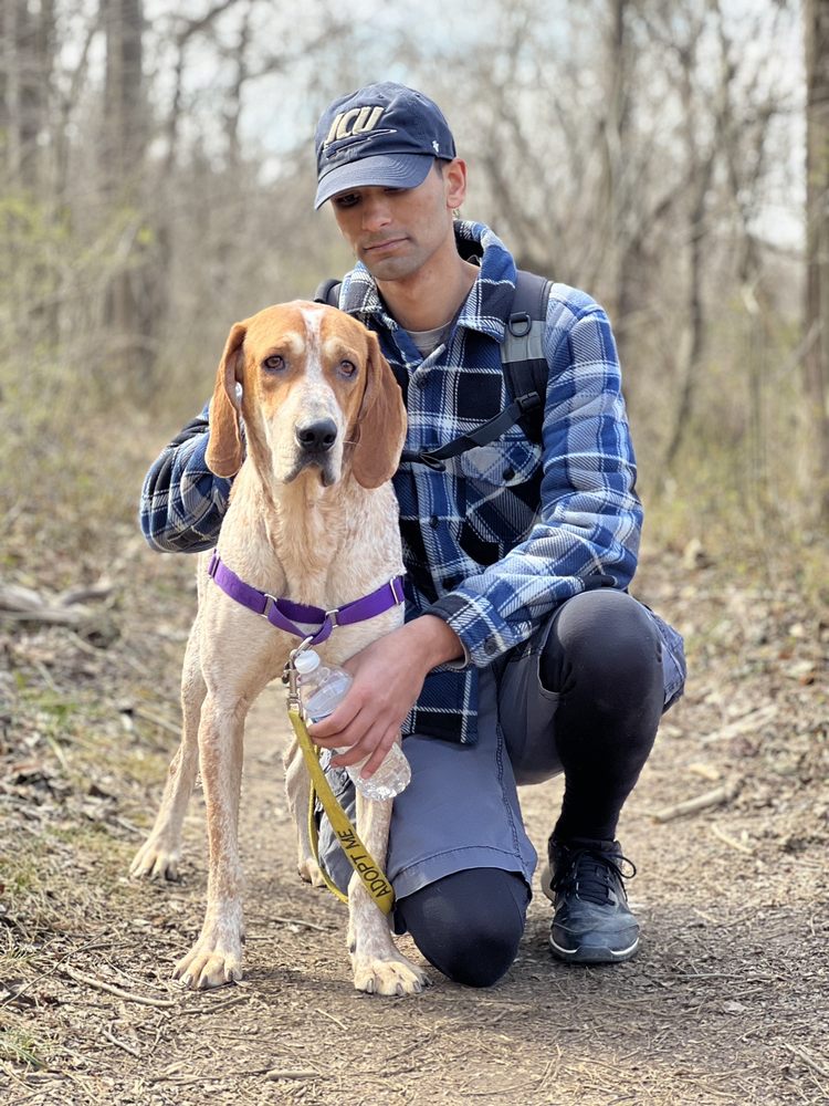 LOST DOG AND CAT RESCUE FOUNDATION - Updated February 2026 - 25 Photos ...