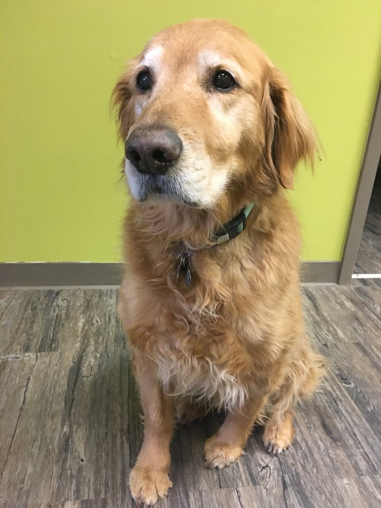 MATTHEW T TAYLOR DVM - Updated January 2026 - 4640 S Meridian Rd ...