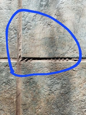 BMS CAT - Updated December 2025 - 21 Photos & 38 Reviews - 315 N Great ...