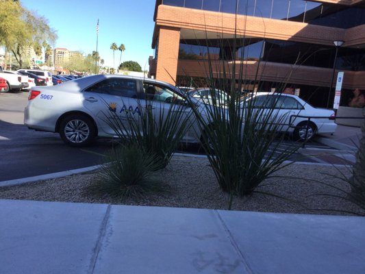 AAA CAB - Updated December 2025 - 42 Reviews - 4525 E University Dr ...