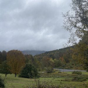 RIVERVIEW ESTATE BY BROPHY - Updated January 2025 - 72 Photos - 1650 ...