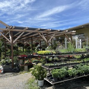 SOUTHERN OREGON NURSERY - Updated October 2025 - 39 Photos & 17 Reviews ...