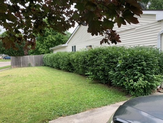 DIAMOND PEST CONTROL - Updated December 2025 - 27 Reviews - 8279 Indy ...