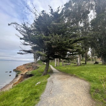 COYOTE POINT RECREATION AREA - Updated August 2025 - 667 Photos & 239 ...