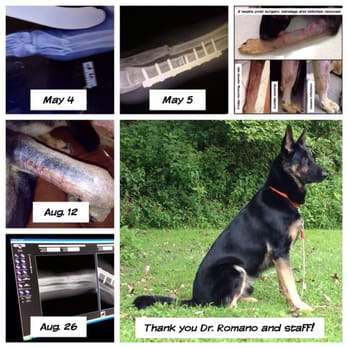 FAIRMONT VETERINARY HOSPITAL - Updated September 2025 - 17 Photos & 11 ...