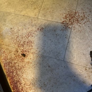 PETSMART - Updated December 2025 - 38 Photos & 60 Reviews - 601 E ...