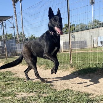 CR RANCH PET-O-TEL - Updated November 2025 - 147 Photos & 79 Reviews ...