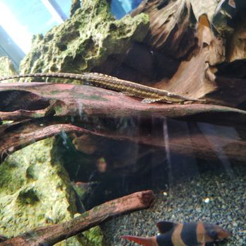 STRICTLY REEF - Updated December 2025 - 122 Photos & 68 Reviews - 907 W ...