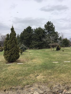 YORK CEMETERY AND FUNERAL CENTRE - Updated November 2025 - 16 Photos ...