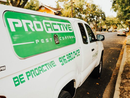 PRO ACTIVE PEST CONTROL - Updated December 2025 - 31 Photos & 220 ...