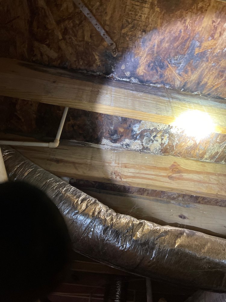 TIER-1 ELITE INSPECTIONS - Updated August 2024 - Request a Quote ...