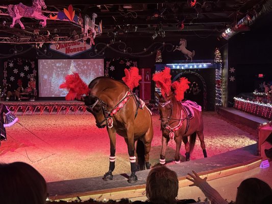 THE DANCING HORSES THEATRE - Updated September 2025 - 170 Photos & 79 ...