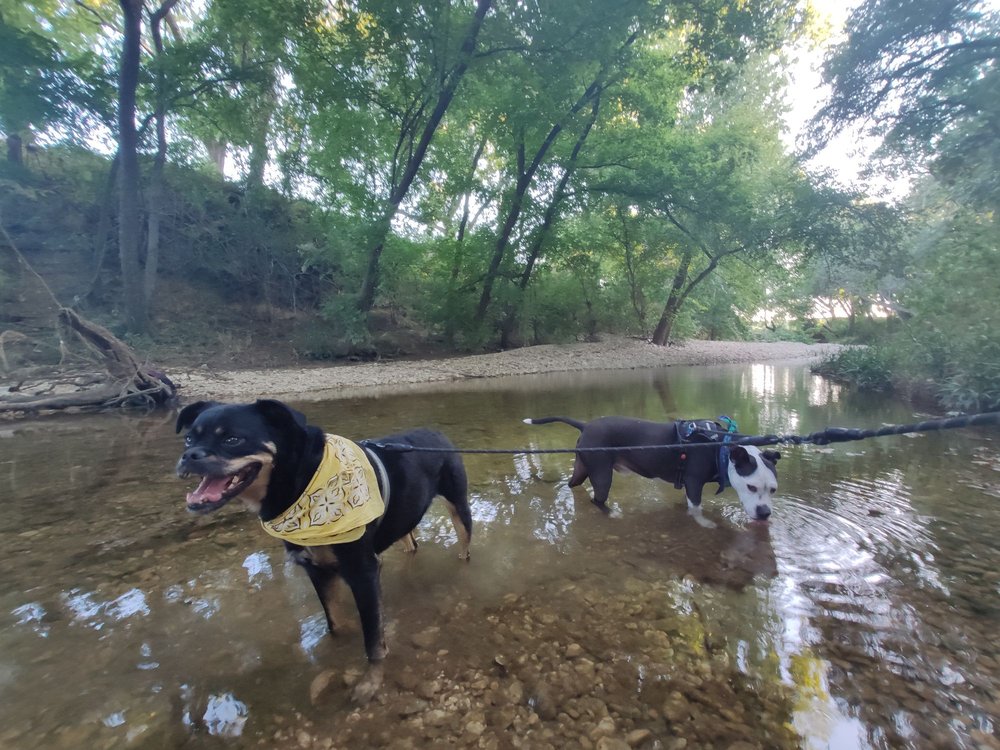 DOVE SPRINGS DISTRICT PARK - Updated June 2024 - 20 Photos - 5401 Ainez ...