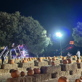 CLASSIC PUMPKIN PATCH & TREES - Updated December 2024 - 72 Photos & 18 Reviews - 9725 Dublin ...