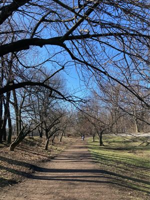 THE ARTHUR ROSS PINETUM - Updated April 2026 - 24 Photos - 86th St ...