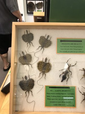 BUG & REPTILE MUSEUM - Updated October 2025 - 66 Photos & 42 Reviews ...