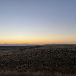 THE SHAGGY SHEEP - Updated December 2025 - 172 Photos & 220 Reviews ...