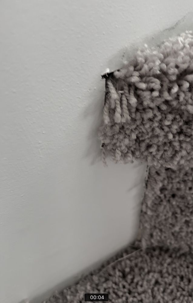 KB HOME STUDIO AUSTIN - Updated August 2025 - 20 Photos - 10800 Pecan ...