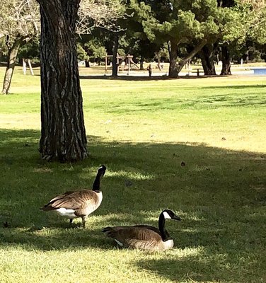 EARVIN MAGIC JOHNSON PARK - 50 Photos & 15 Reviews - Recreation Centers ...