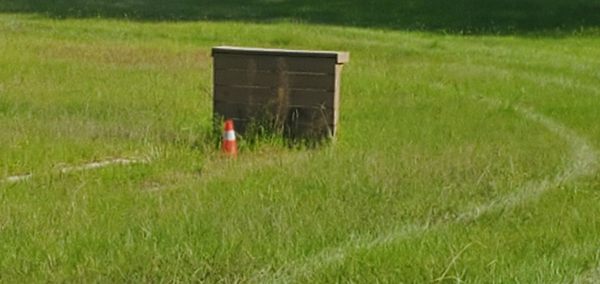 BLUE PARROT CAMPING PARK - Updated August 2025 - 17 Photos - 40840 ...