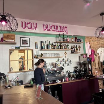 UGLY DUCKLING - Updated September 2025 - 145 Photos & 68 Reviews - 246 Danforth St, Portland ...