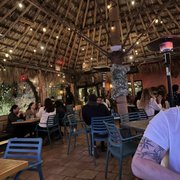 THE TOASTED COCONUT - 855 Photos & 323 Reviews - 1617 Richmond Ave ...