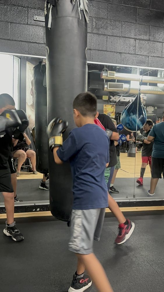 TRIAD FITNESS with 89 real customer photos - Updated August 2024 - 310 ...