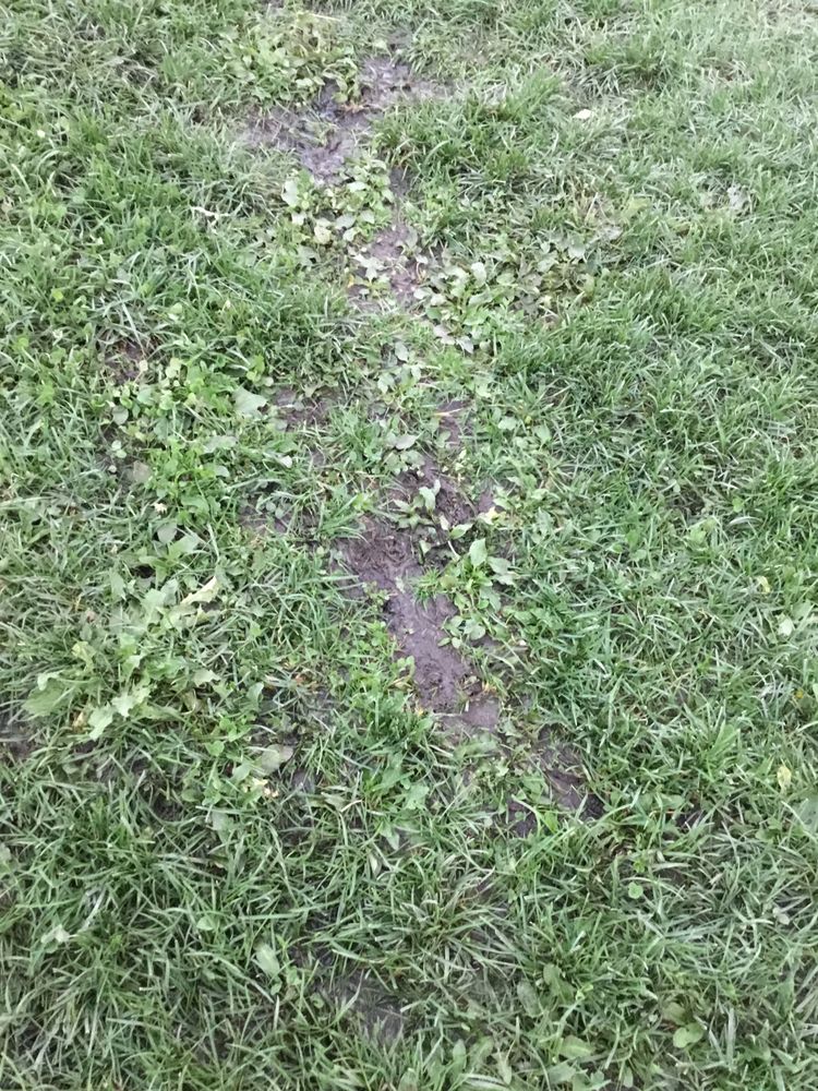 EQUUS MANAGEMENT GROUP - Updated August 2025 - 18 Reviews - 4888 Sparks ...