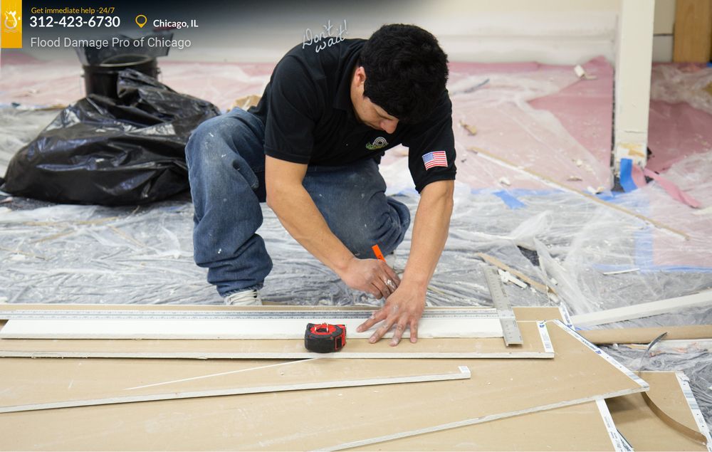 FLOOD DAMAGE PRO - Updated November 2024 - Request a Quote - Chicago ...