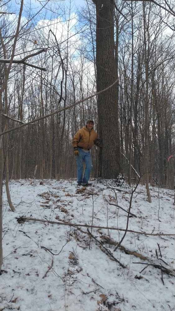 MARTIN LOGGING - Updated July 2025 - 29 Photos - North Rose, New York ...