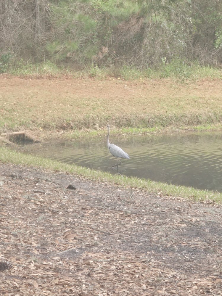 ZACHARY LABOS BLACK CREEK PARK - Updated March 2025 - 7890 US Hwy 17 ...