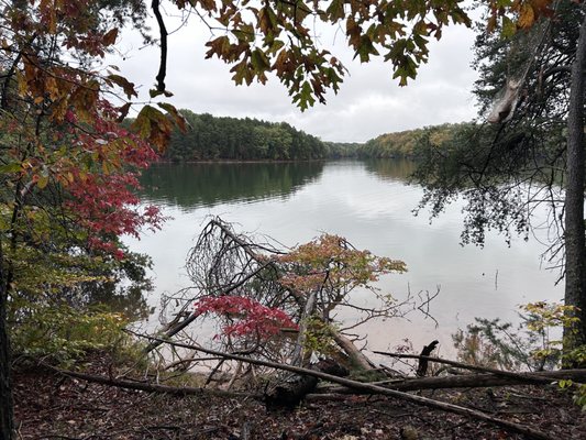SMITH MOUNTAIN LAKE STATE PARK - Updated March 2026 - 91 Photos & 39 ...