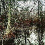 STUMPY LAKE NATURAL AREA - 237 Photos & 17 Reviews - 4794 Indian River ...