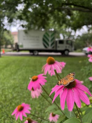 SOUTHERN BOTANICAL LANDSCAPING - Updated May 2026 - 35 Photos & 24 ...