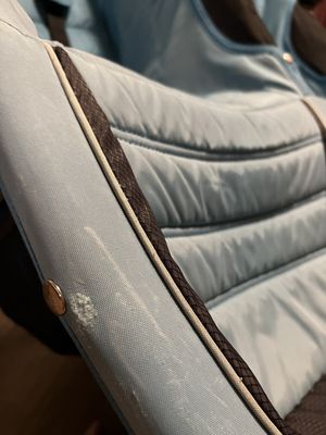 KINGDOM STROLLERS - Updated December 2025 - 17 Photos & 35 Reviews ...