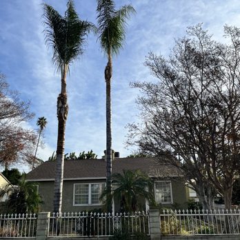 AFFORDABLE TREE CARE - 1669 Photos & 1549 Reviews - Los Angeles ...