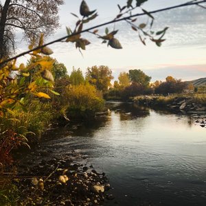 KNOTTY PINE RV RESORT - 21 Photos & 12 Reviews - 5175 E State Hwy 35 ...