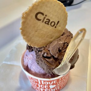 PALA BAKERY - 26 Photos & 21 Reviews - 1264 W Paces Ferry Rd NW ...