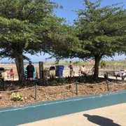 NORTH BEACH PARK - 63 Photos & 18 Reviews - Beaches - 1501 Michigan ...