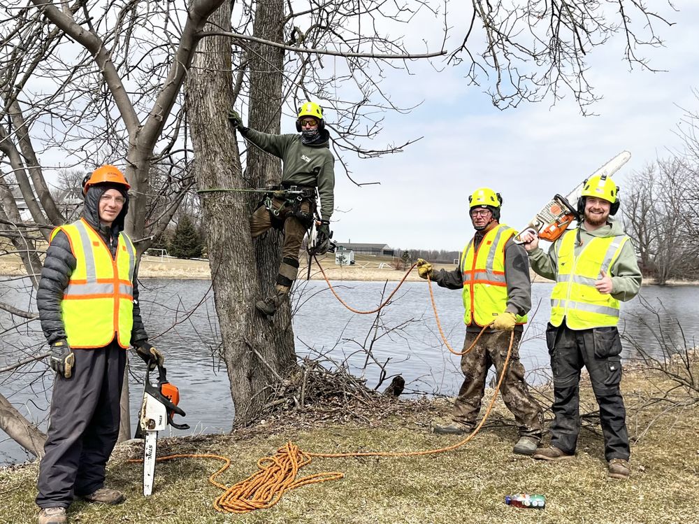 ALPHA TREE SERVICE - Updated July 2025 - 30 Photos - 424 Lisa Cir ...