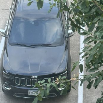 EXECUTIVE TINT - Updated November 2024 - 724 Photos & 398 Reviews ...