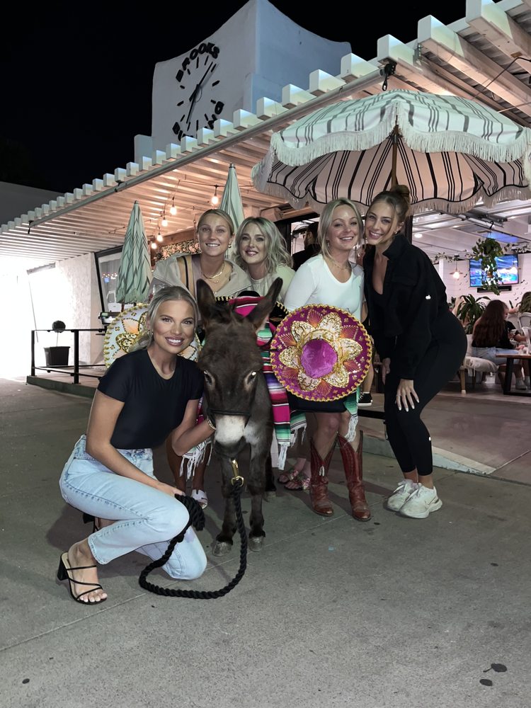 AZ PARTY ANIMALS - Updated September 2024 - Request Information ...